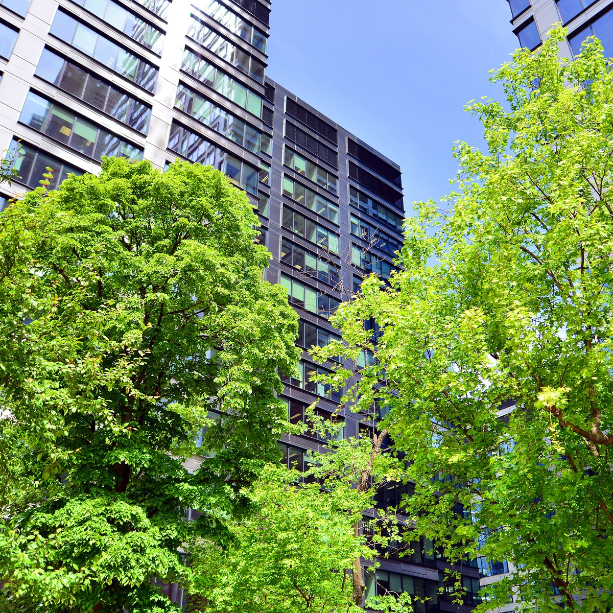 Q&A with Dave McLeod: Making sustainability a focus for your business ...